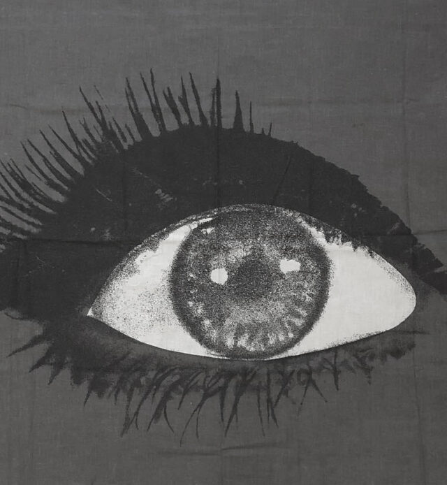 GREY ANATOMIC EYE | THE VERNER PANTON COLLECTOR